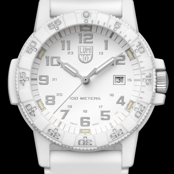 Luminox | Accessories | Luminox Leatherback Sea Turtle Swiss Fibreglass ...
